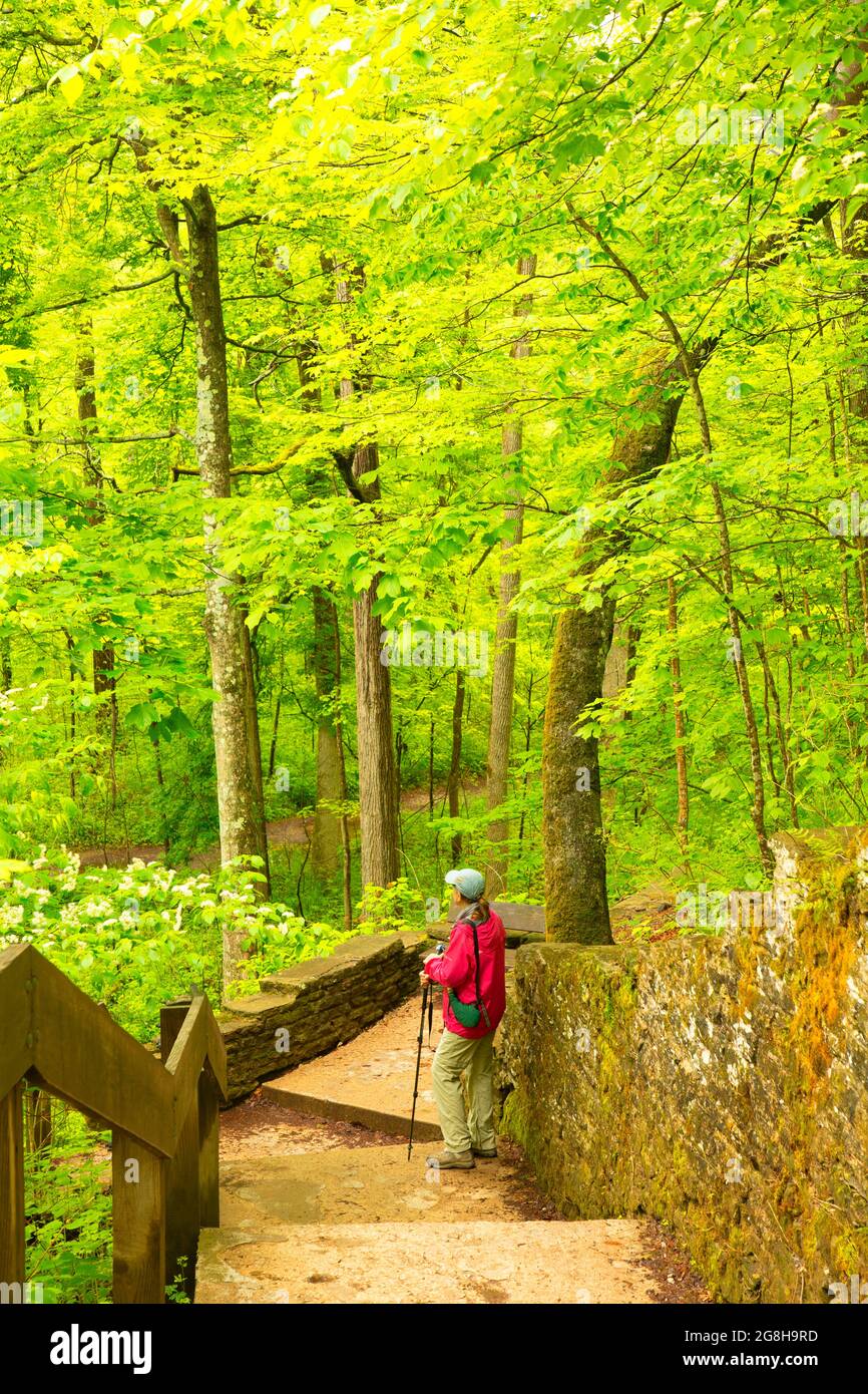 Hiking trail stairs, Turkey Run State Park, Indiana Stock Photo - Alamy