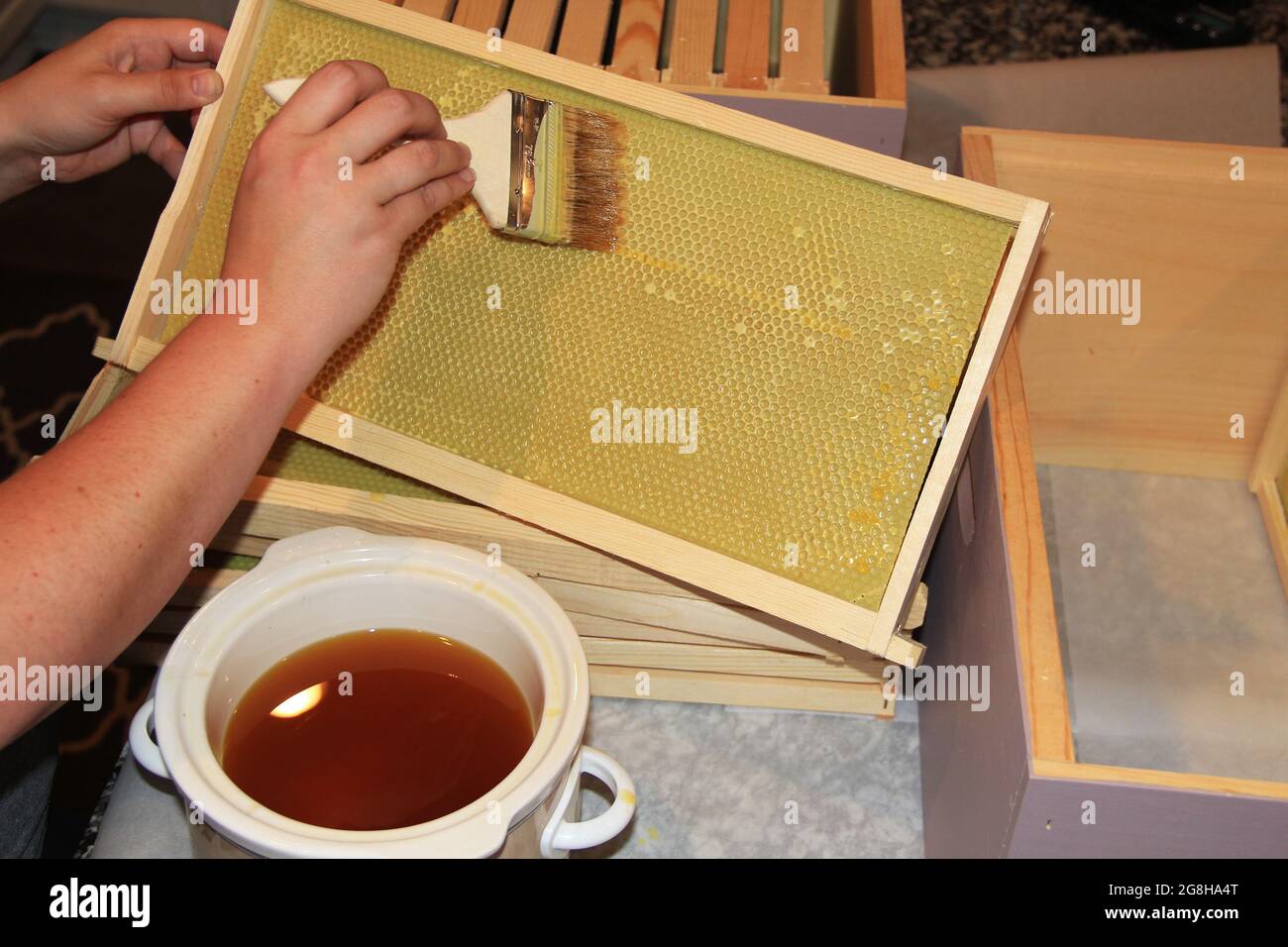 Painting Melted Beeswax onto Plastic Beehive Foundation Stock Photo - Alamy