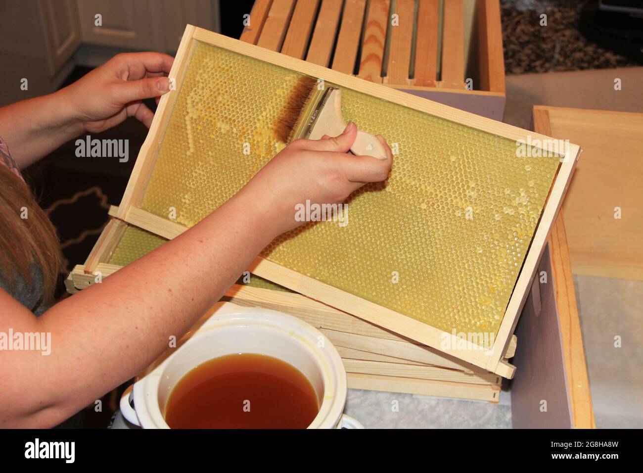 Painting Melted Beeswax onto Plastic Beehive Foundation Stock Photo - Alamy