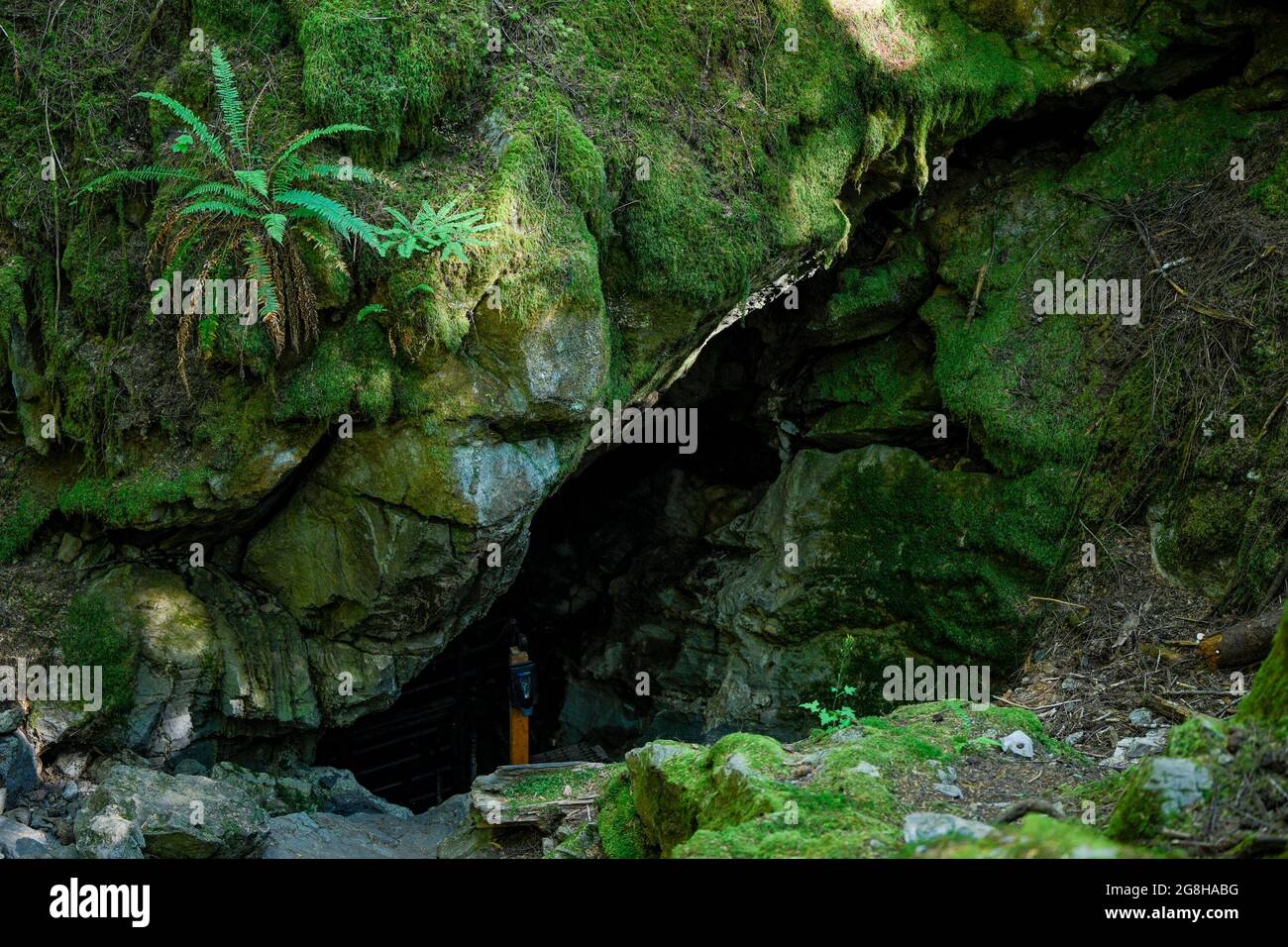 Cave entrance, Horne Lake Caves Provincial Park, Vancouver Island ...