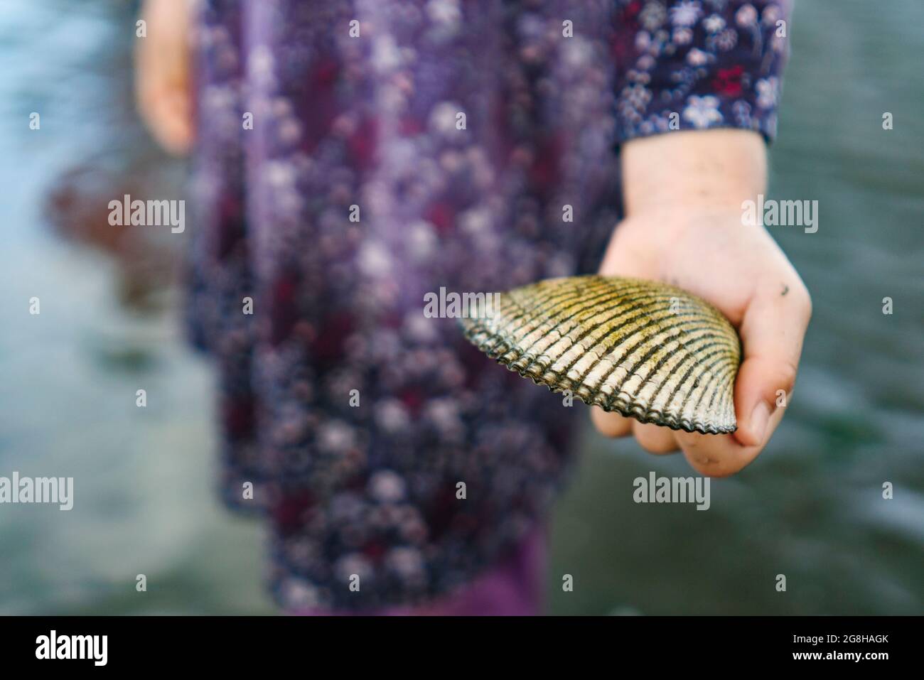 Clam shot hi-res stock photography and images - Alamy