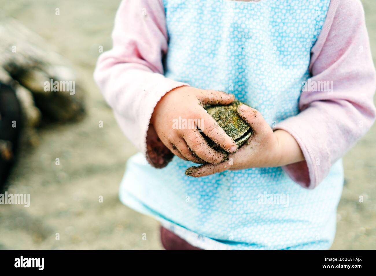 Clam family hi-res stock photography and images - Alamy