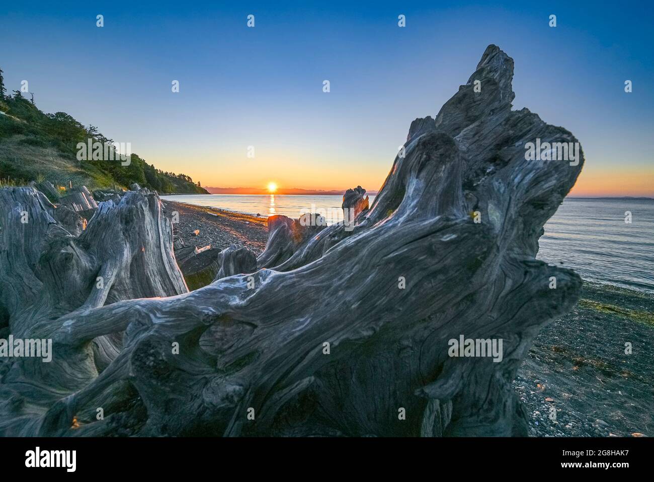 Sunrise, driftwood log breakwater, Goose Spit Park, Comox, British ...