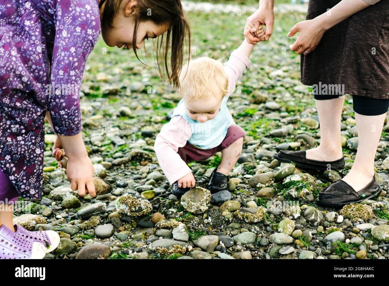 Seattle carkeek park hi-res stock photography and images - Alamy