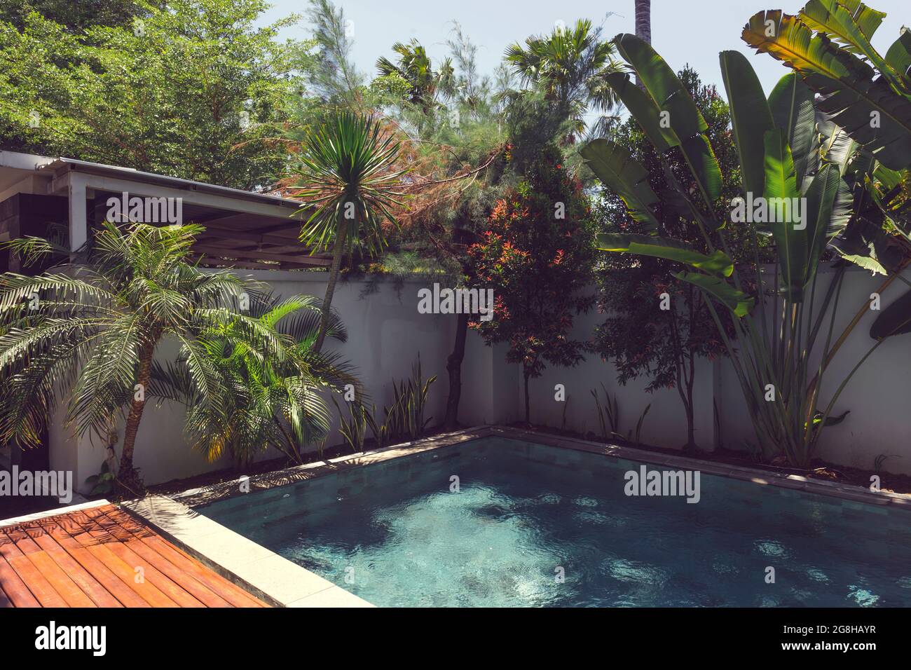Palm tree swimming pool backyard hi-res stock photography and images ...