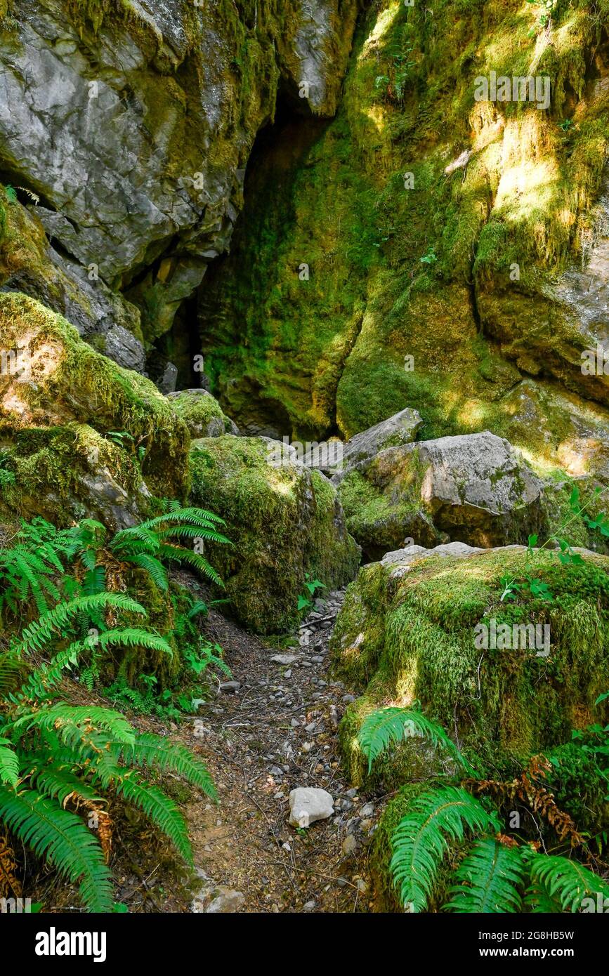Cave entrance, Horne Lake Caves Provincial Park, Vancouver Island ...