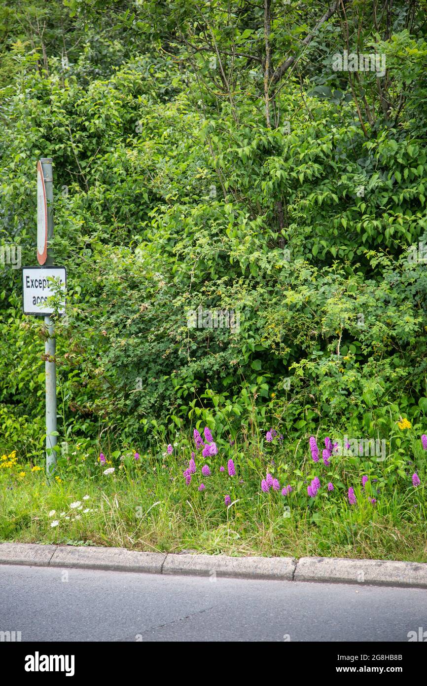 English pyramid hi-res stock photography and images - Alamy