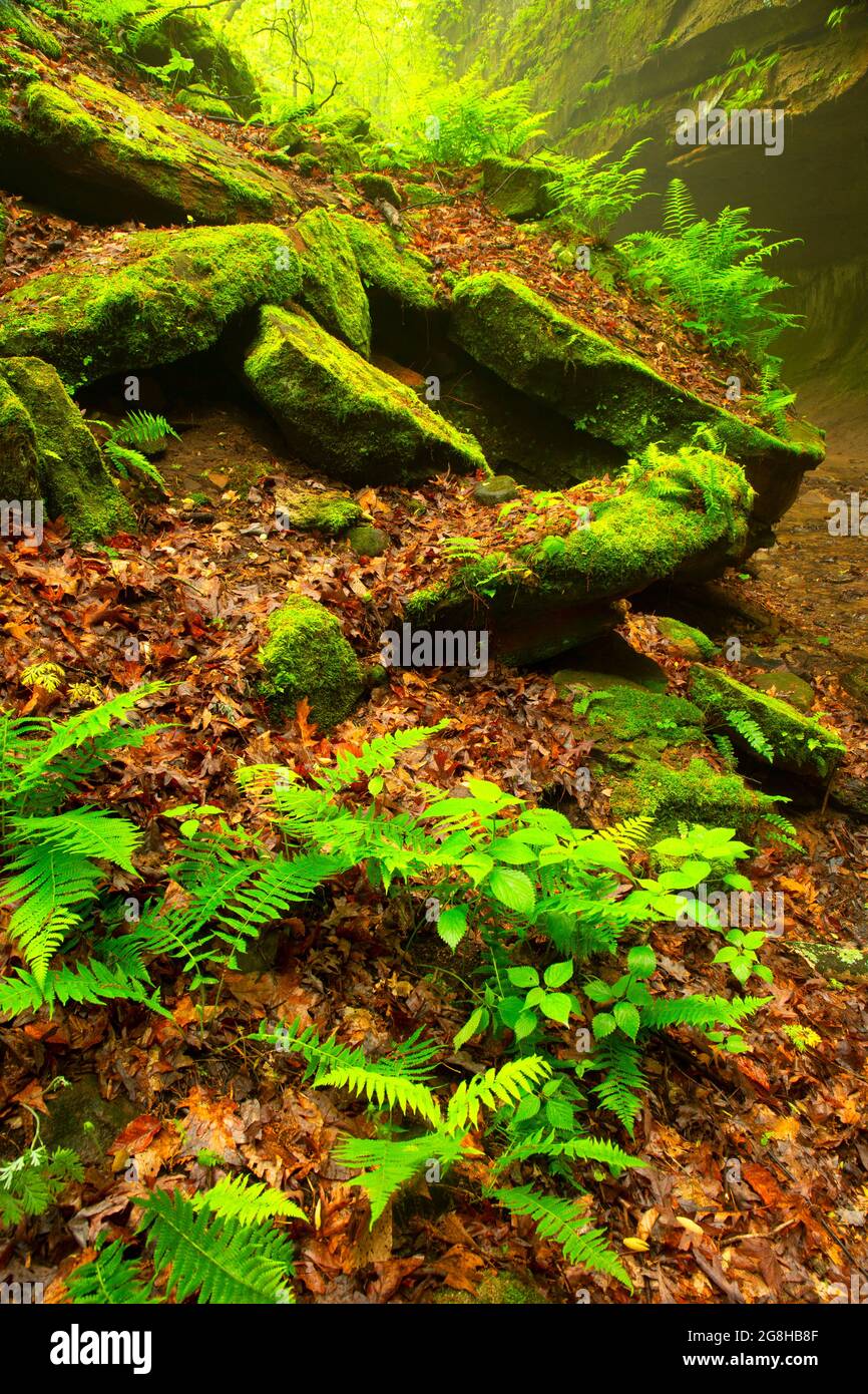 Devils Punchbowl, Shades State Park, Indiana Stock Photo - Alamy