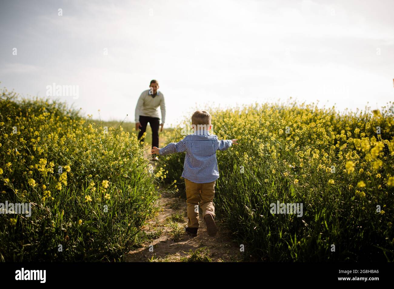 Young Boy Running to Dad in Wildflower Field in San Diego Stock Photo ...
