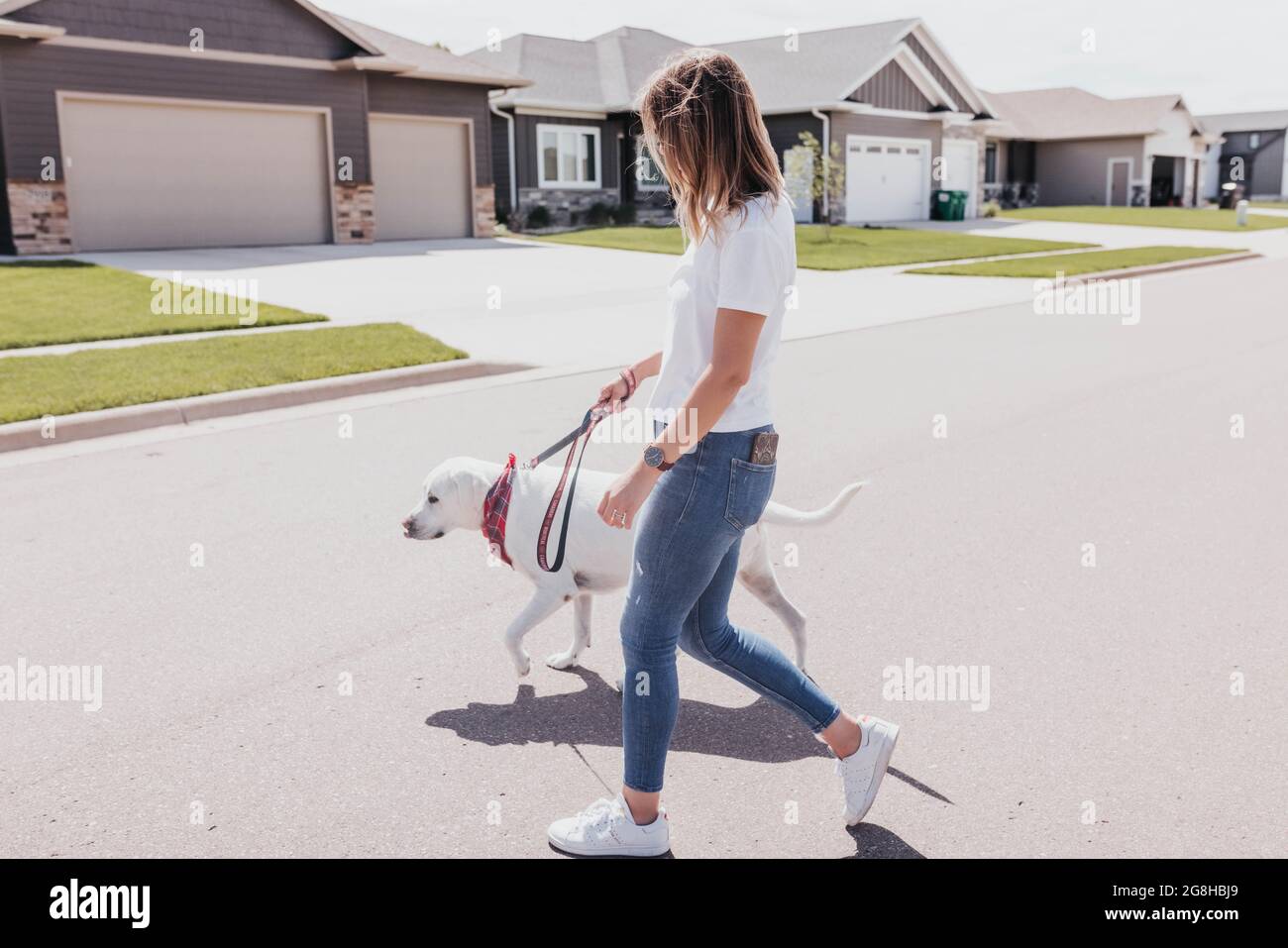 Old woman walks dog hi-res stock photography and images - Alamy