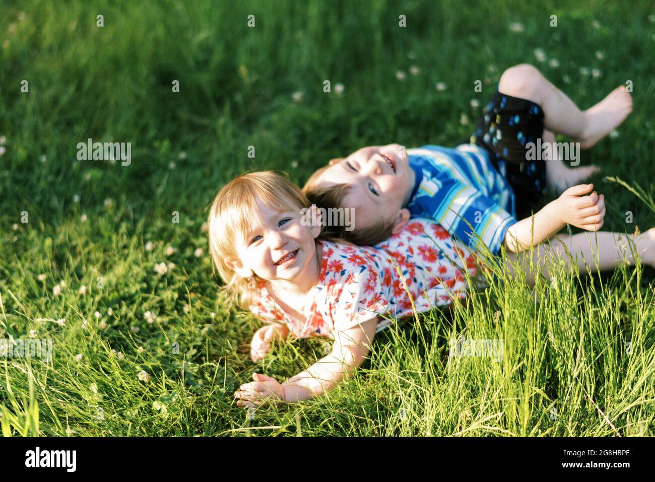 Roam in the green grassland hi-res stock photography and images - Alamy