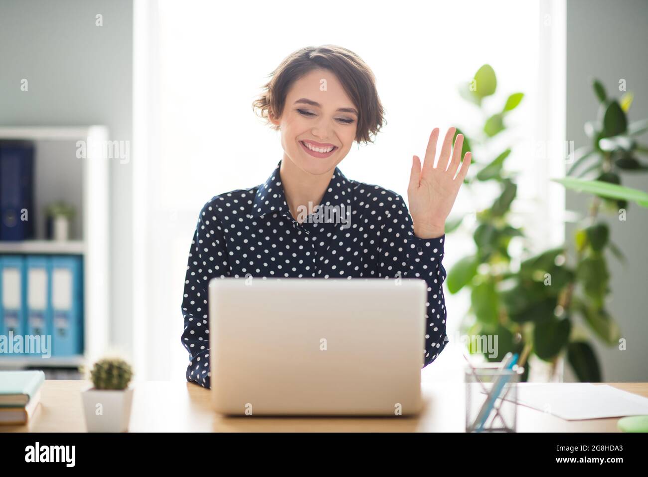 Portrait of attractive cheerful girl expert specialist meeting web ...