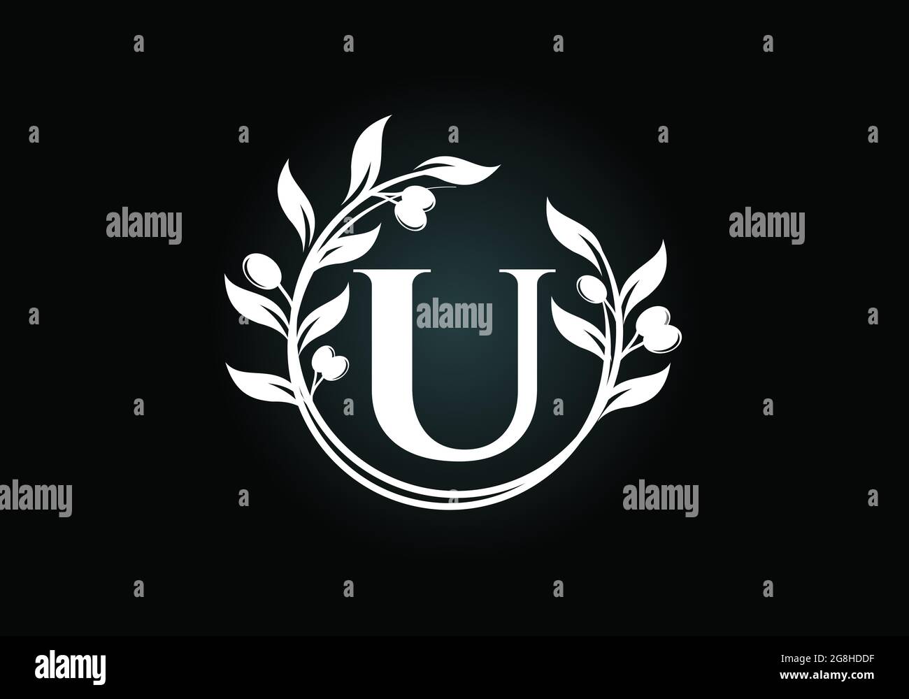 Initial letter U sign symbol with olive branch wreath. Round floral ...