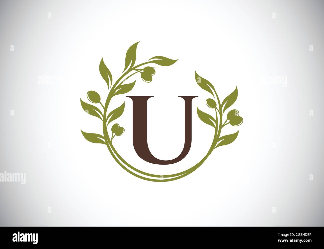 Initial letter U sign symbol with olive branch wreath. Round floral ...