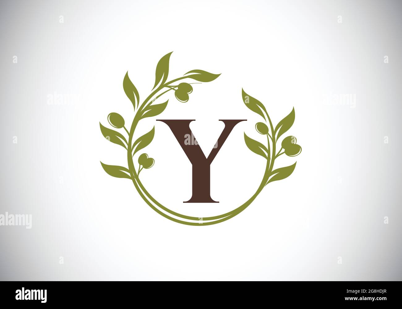 Initial letter Y sign symbol with olive branch wreath. Round floral ...