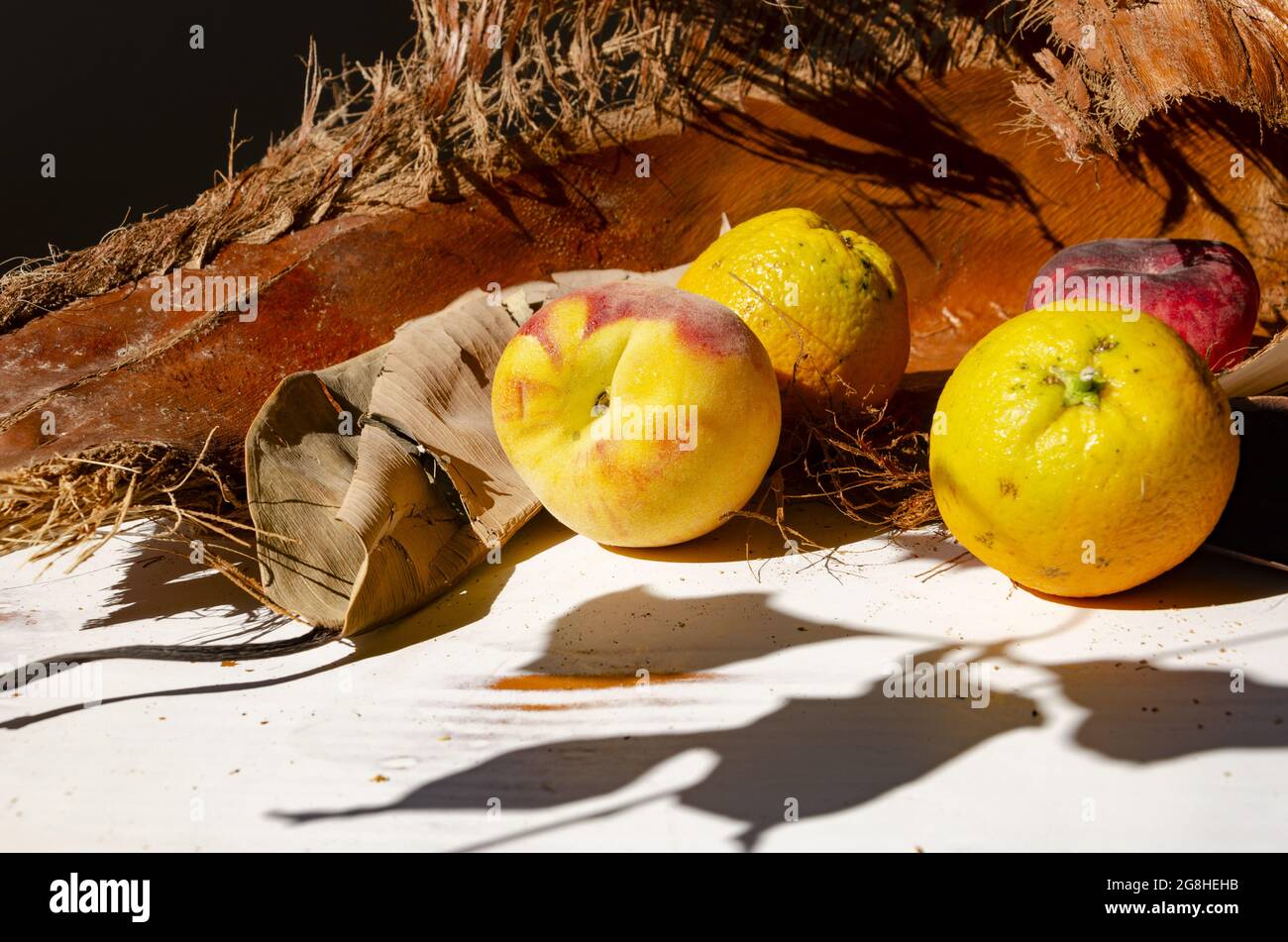 Closeup shot of juicy peaches, lemons and dry leaves on a white ...