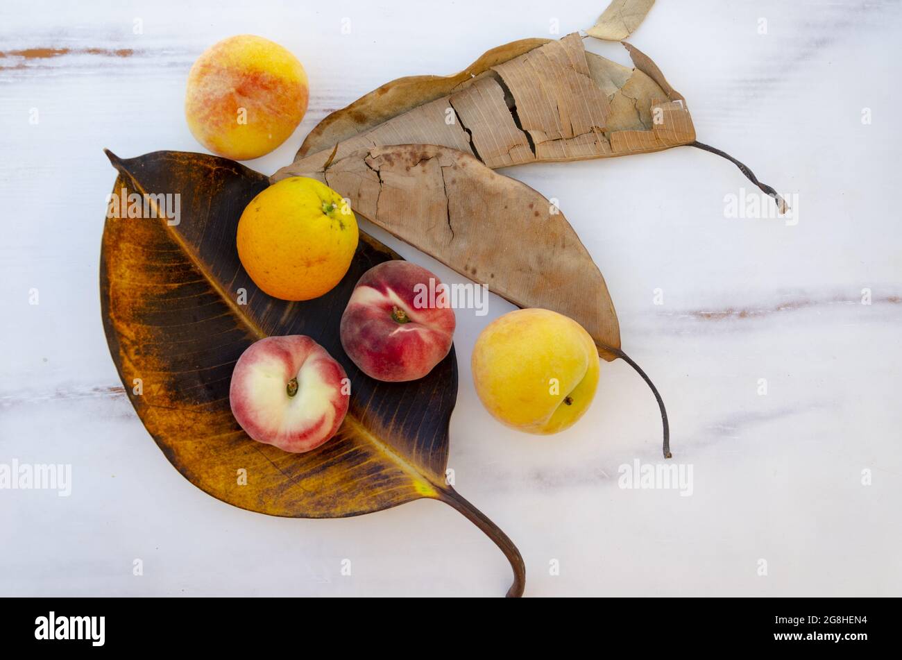 Top view of lemons and peaches with big dry leaves isolated on a white ...