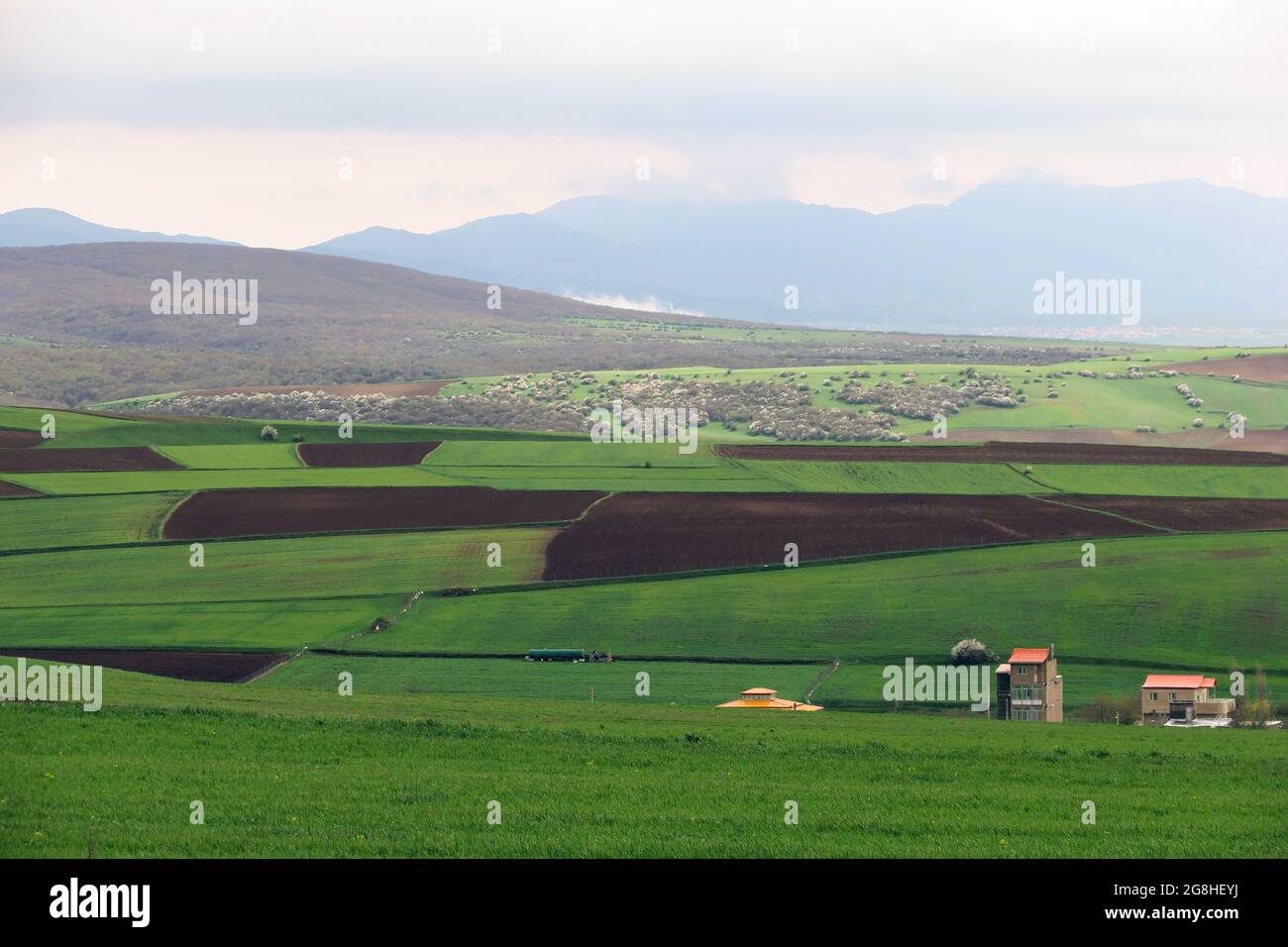 Landscape of farm field crops covered in greenery under a cloudy sky in ...