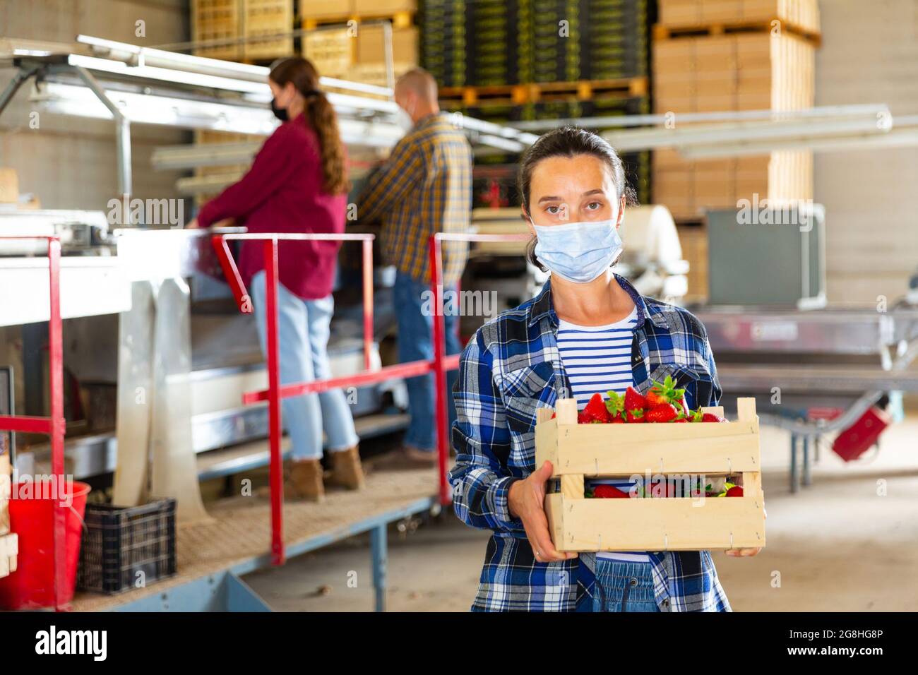 Female farmer in protective mask standing with crate of strawberries at ...
