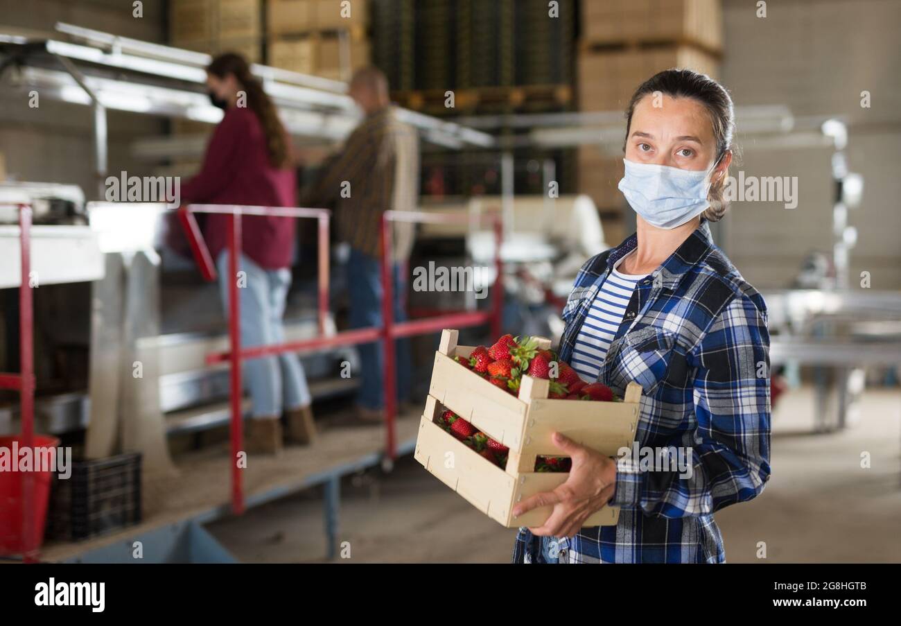 Female farmer in protective mask standing with crate of strawberries at ...