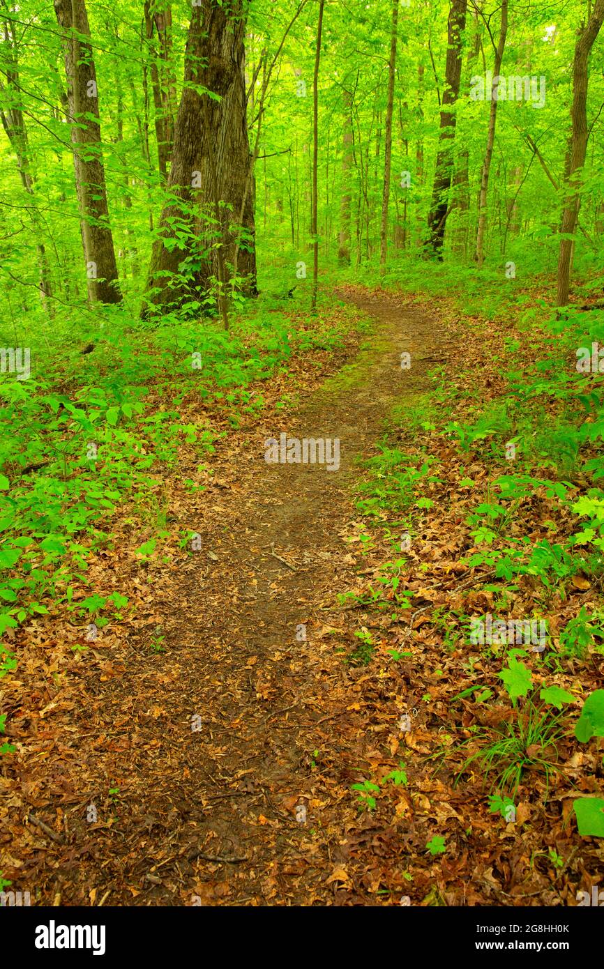 Hall woods nature preserve hi-res stock photography and images - Alamy