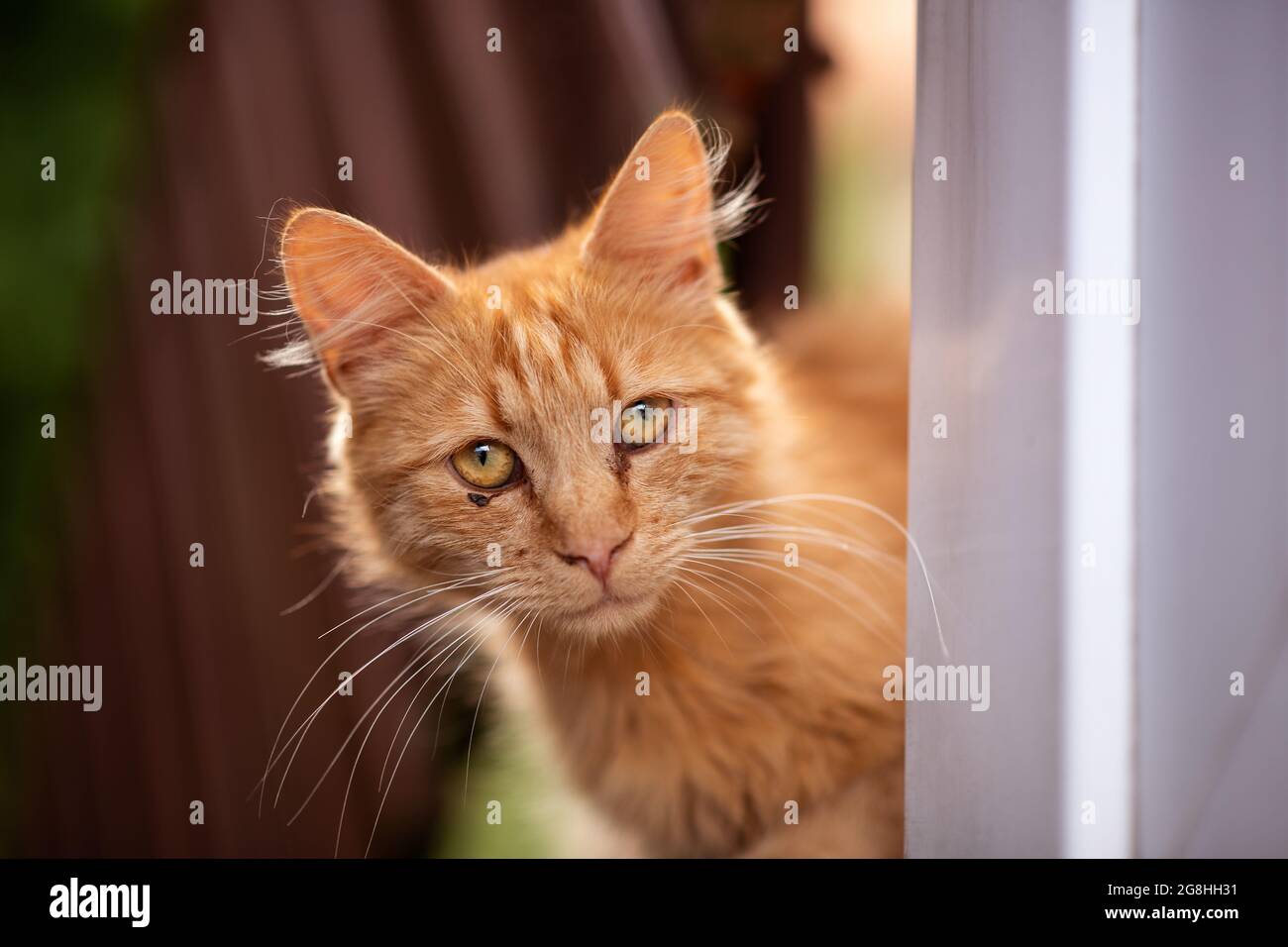 Sneaking door hi-res stock photography and images - Alamy