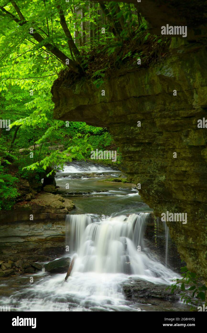 McCormick's Creek Canyon Falls, McCormick's Creek State Park, Indiana ...