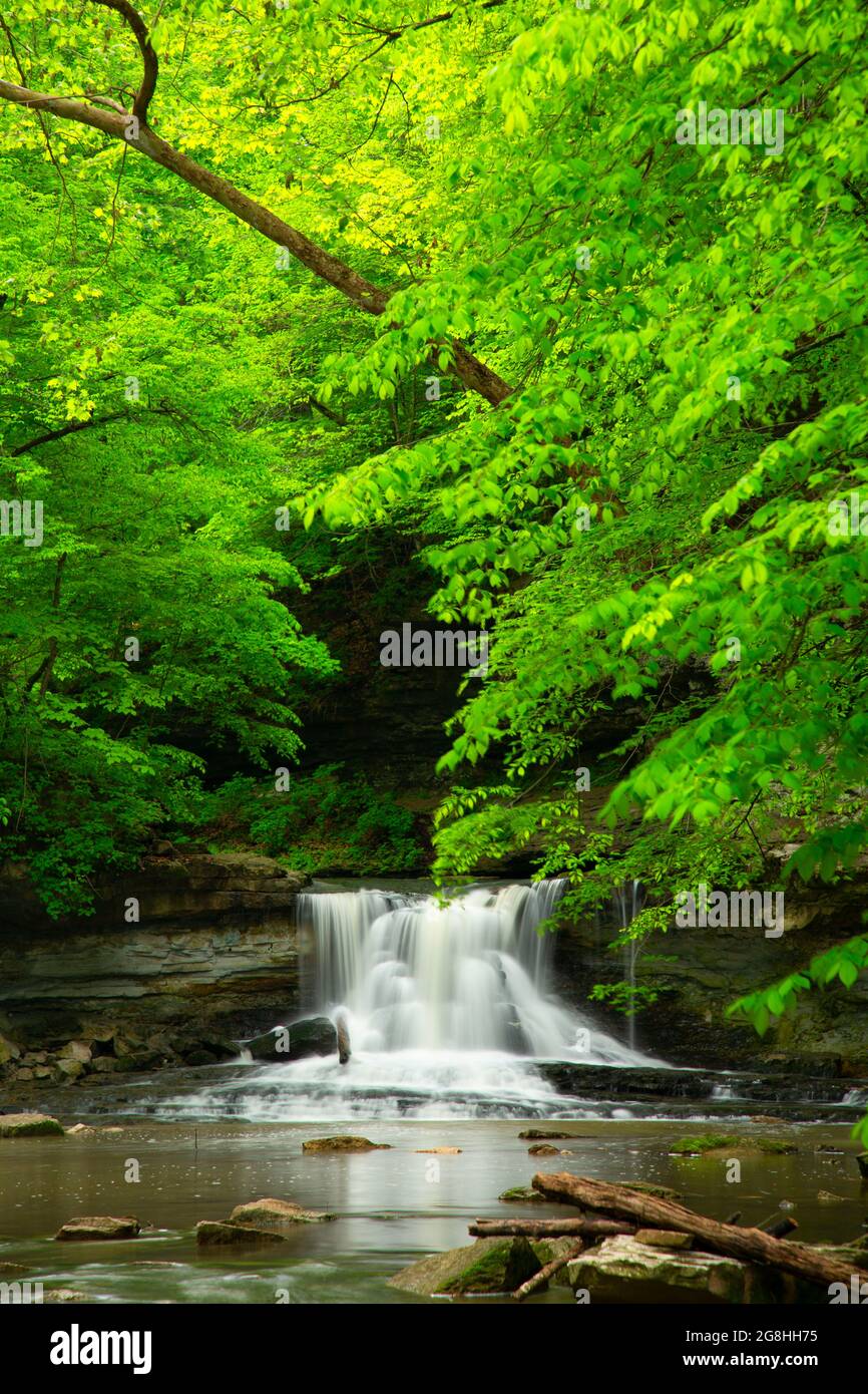 McCormick's Creek Canyon Falls, McCormick's Creek State Park, Indiana ...