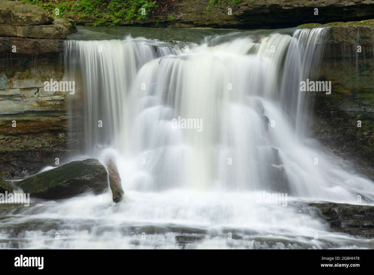 McCormick's Creek Canyon Falls, McCormick's Creek State Park, Indiana ...