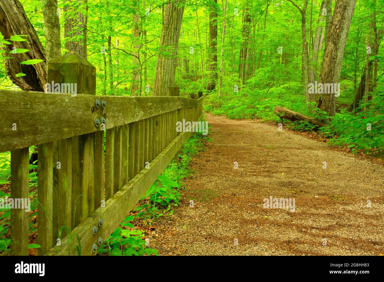 Hiking trail, McCormick's Creek State Park, Indiana Stock Photo - Alamy