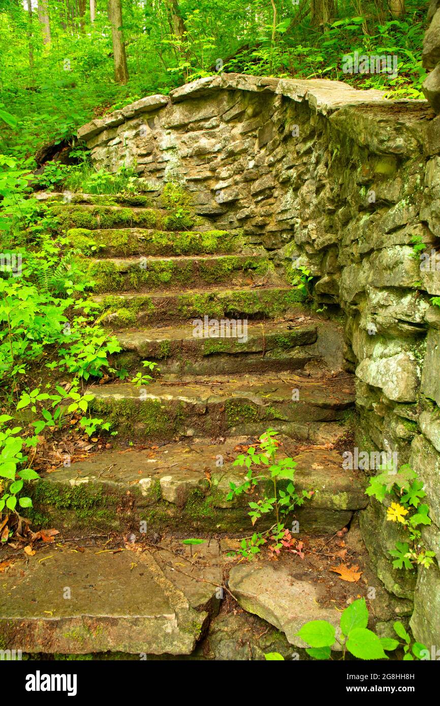 Creek stairs hi-res stock photography and images - Alamy