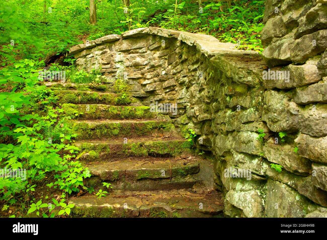 Trail stairs hi-res stock photography and images - Alamy