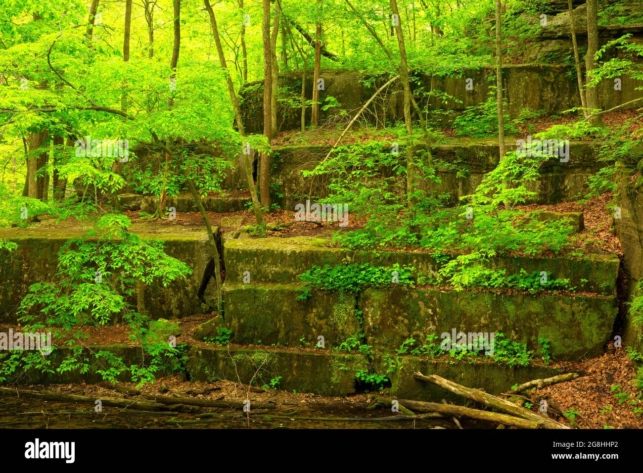 Old State House Quarry ruins, McCormick's Creek State Park, Indiana ...
