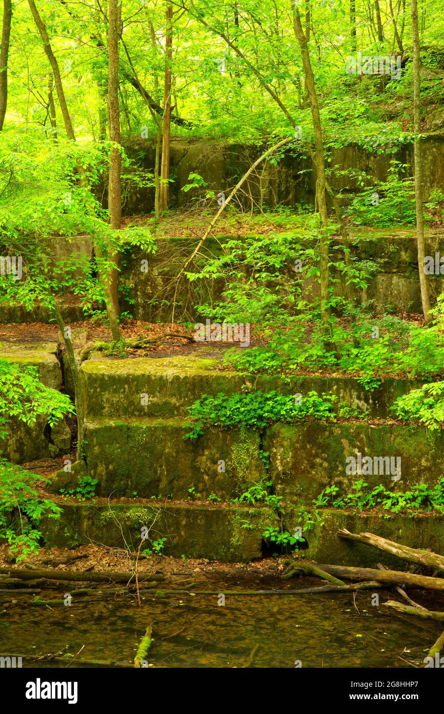 Old State House Quarry ruins, McCormick's Creek State Park, Indiana ...