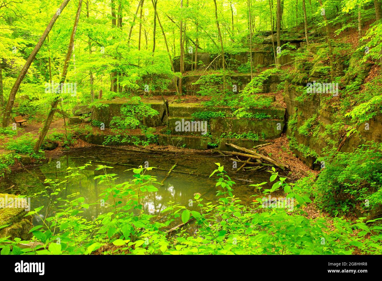 Old State House Quarry ruins, McCormick's Creek State Park, Indiana ...