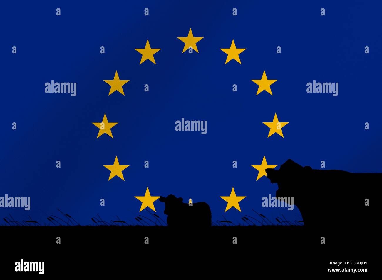 Consumption and production of cattle in countries with the flag of ...