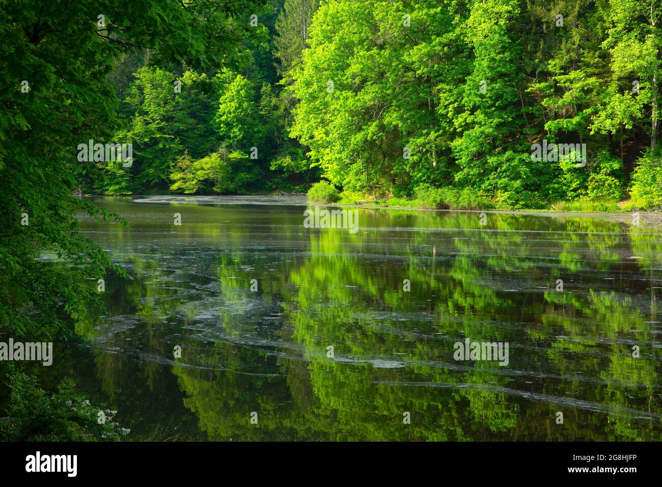 Stahl Lake, Brown County State Park, Indiana Stock Photo - Alamy