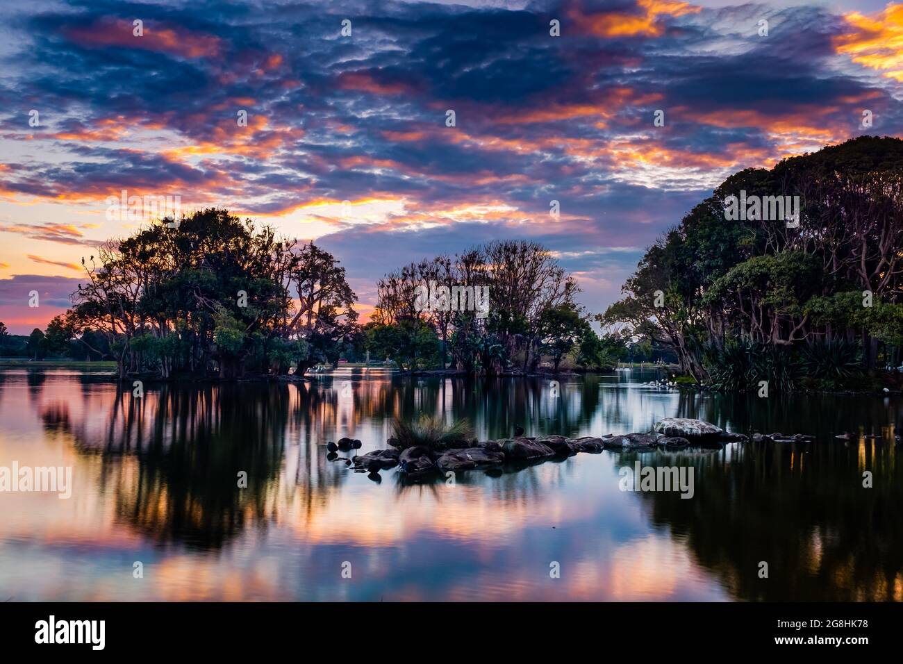 Beautiful Sunset Scape in Centennial Park with Ducks and Swans Stock ...