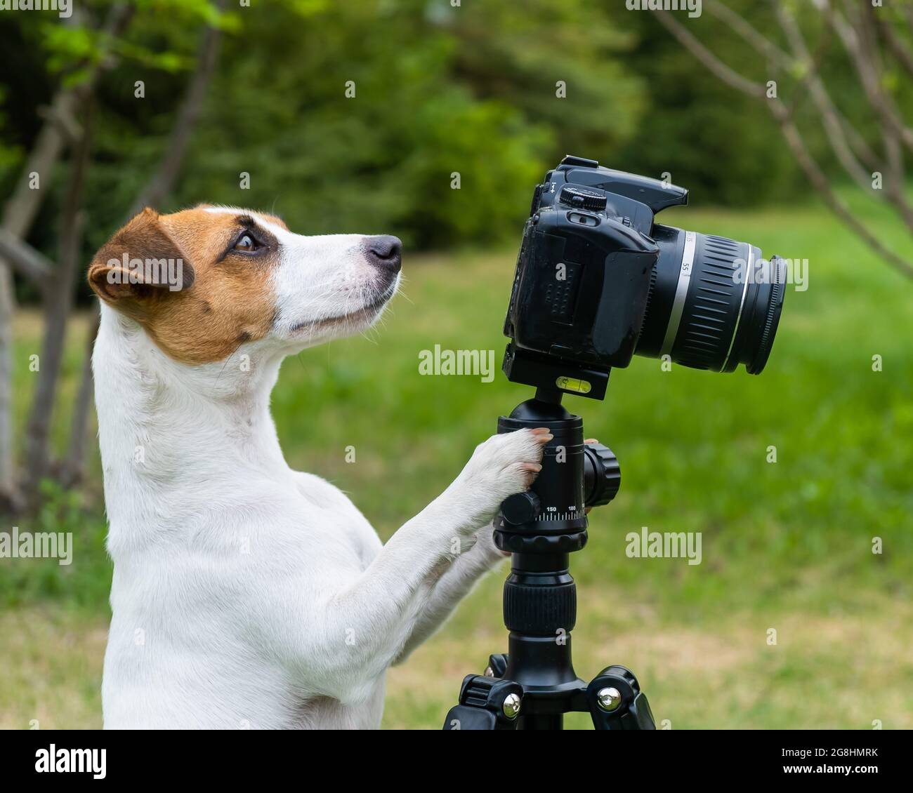 Reporter takes pictures photographs hi-res stock photography and images ...
