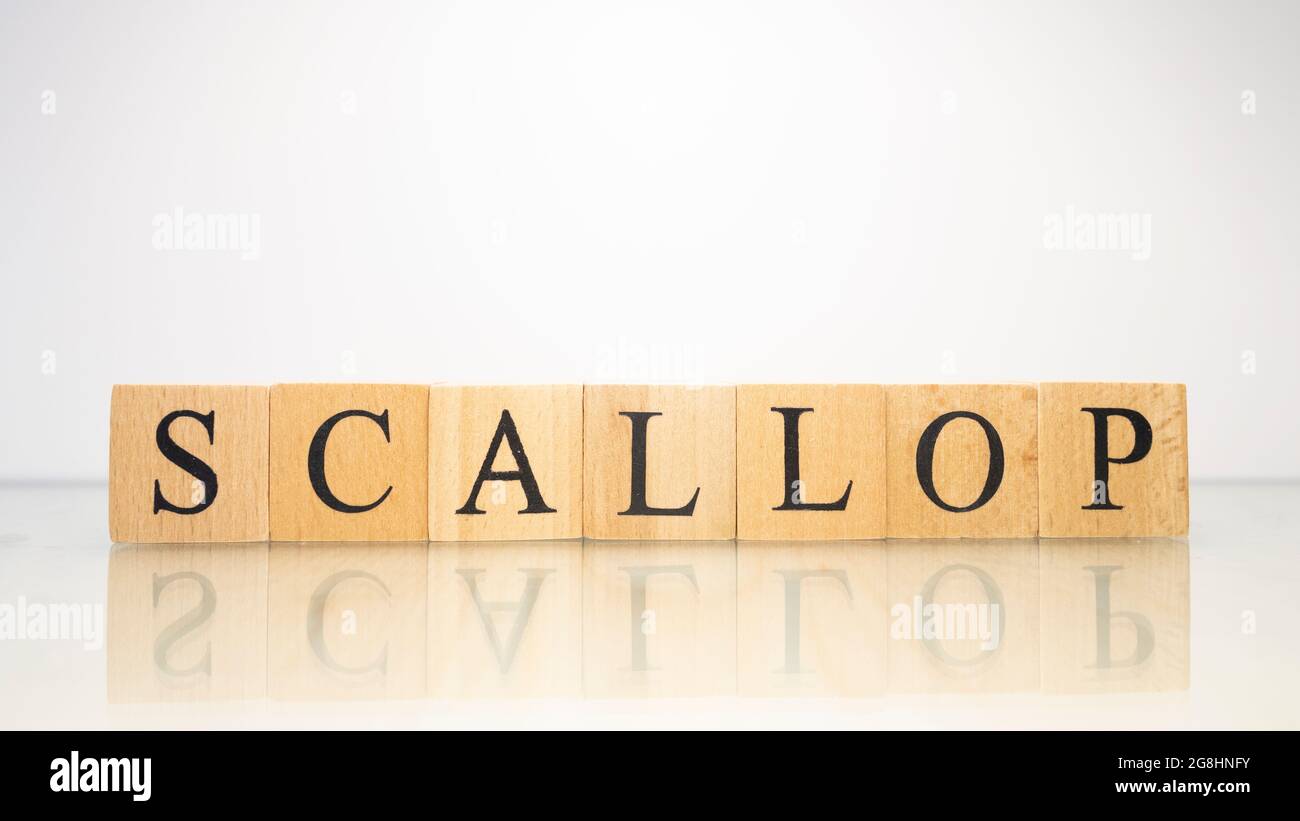 The name Scallop was created from wooden letter cubes. Seafood and food ...