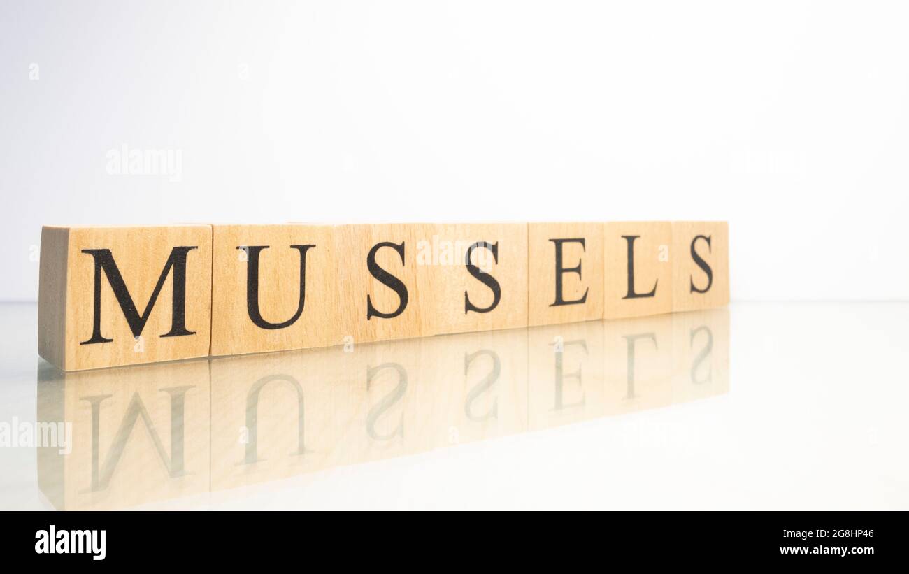 The name Mussels was created from wooden letter cubes. Seafood and food ...