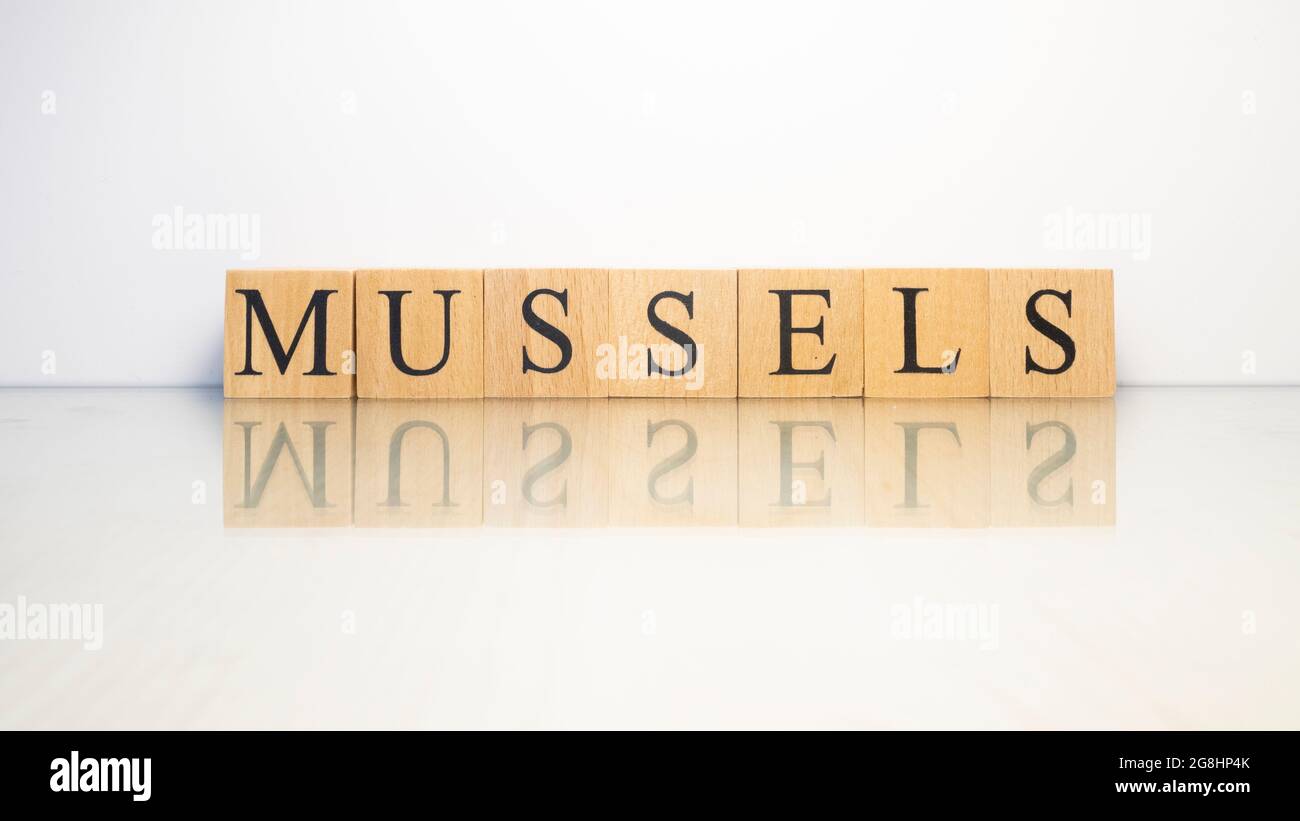 The name Mussels was created from wooden letter cubes. Seafood and food ...
