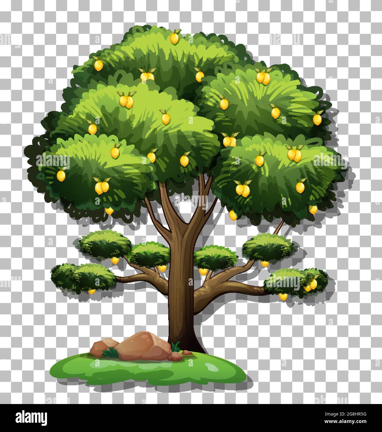 Lemon tree on transparent background illustration Stock Vector Image ...