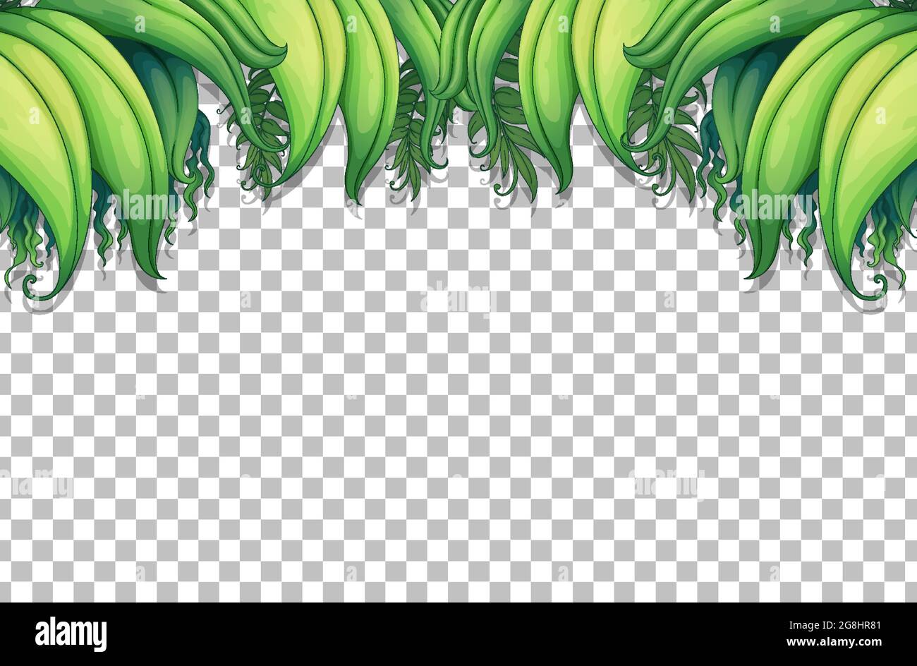 Tropical leaves frame template on transparent background illustration ...