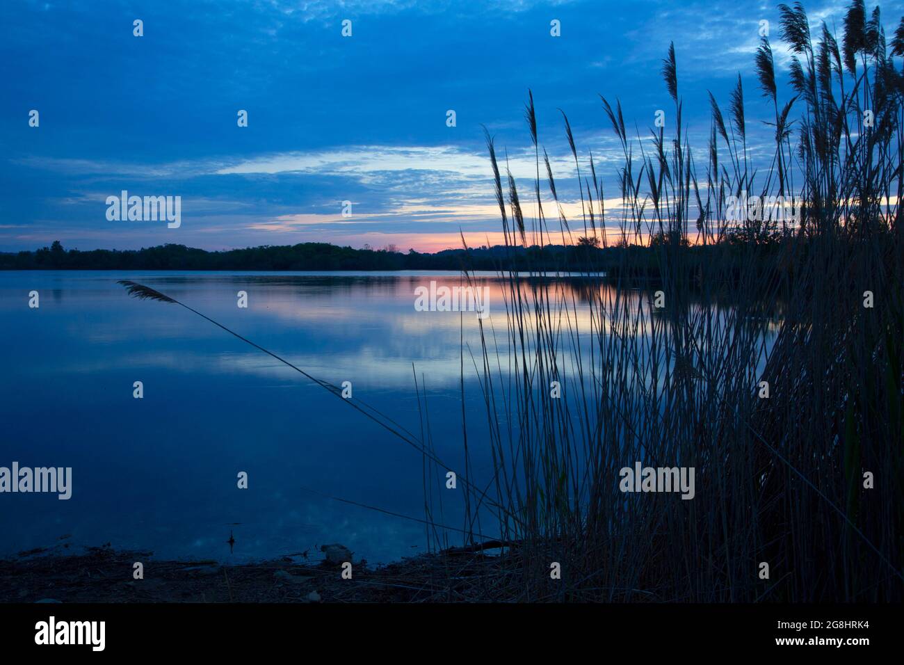 Bass Lake dawn, Dugger Unit, Greene Sullivan State Forest, Indiana ...