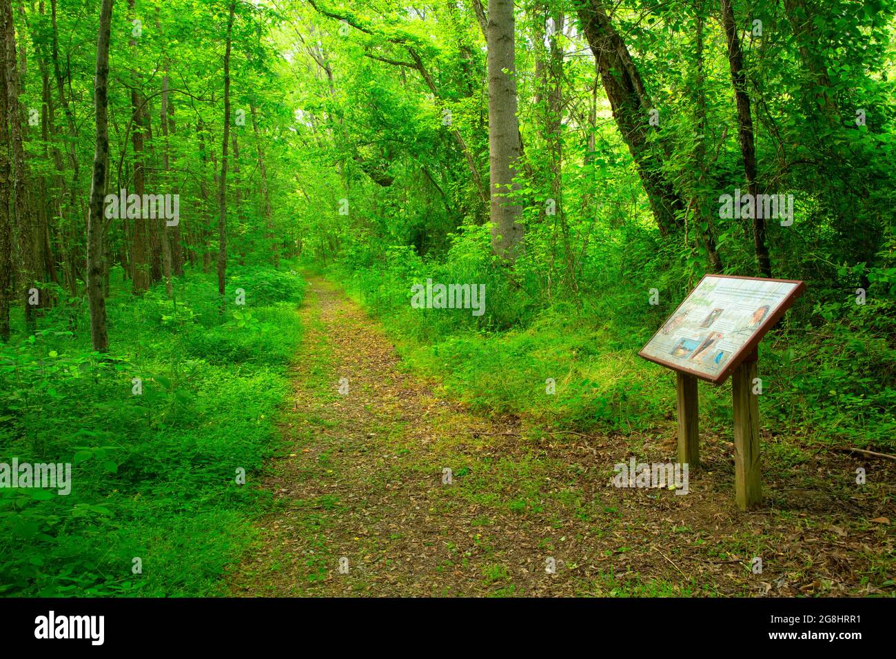 South Fork Trail with interpretive board, Patoka River National ...