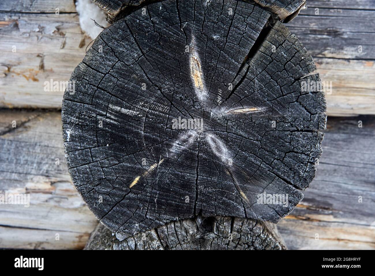 Cracked log hi-res stock photography and images - Alamy