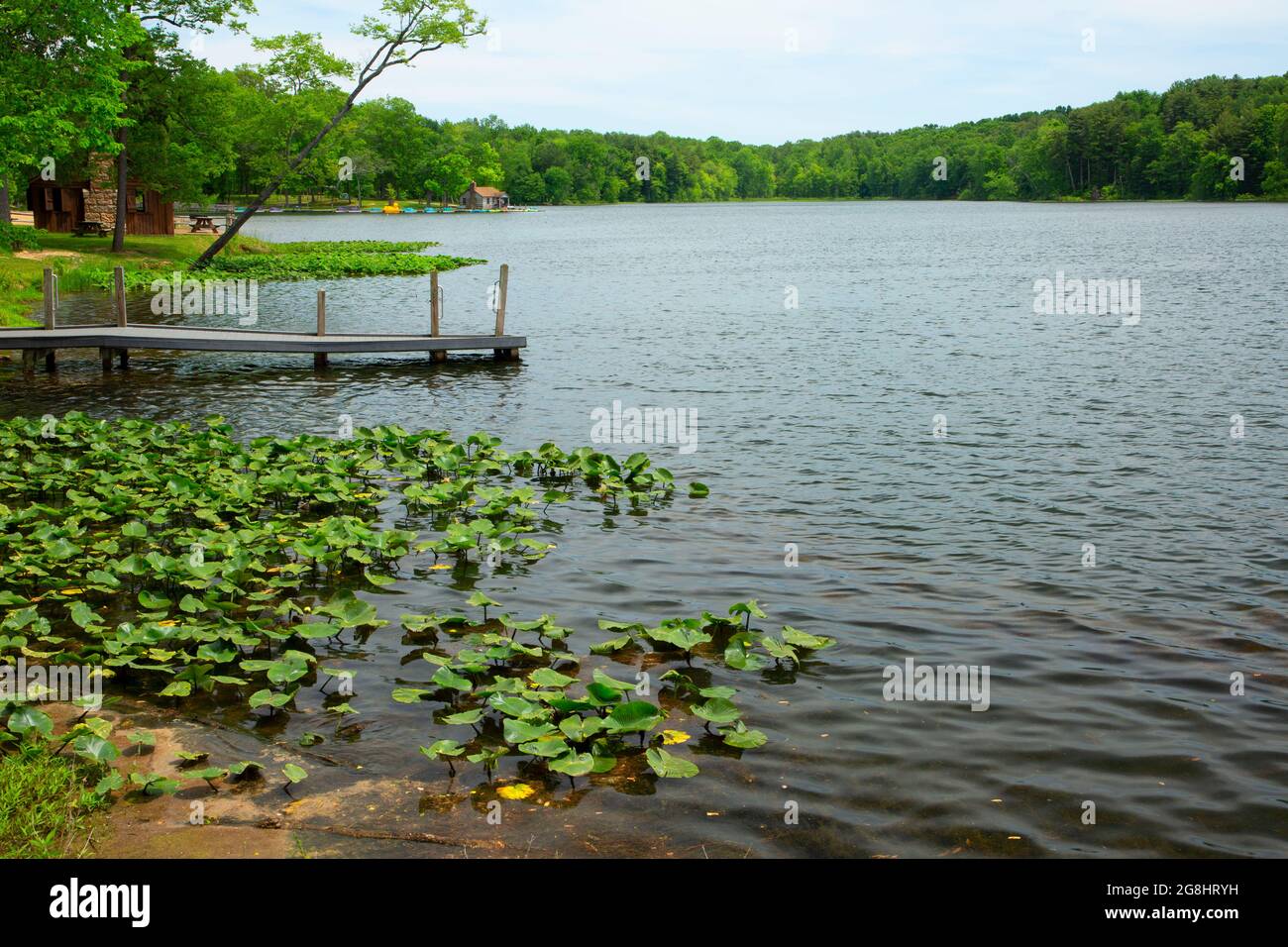 Lake Lincoln with yellow pond lilies, Lincoln State Park, Indiana Stock ...