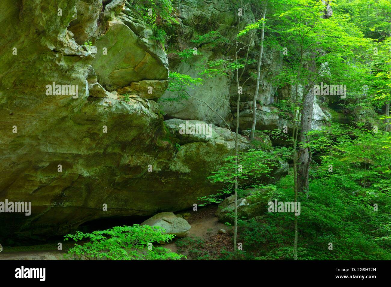 Limestone cliffs, Hemlock Cliffs Special Place, Hoosier National Forest ...