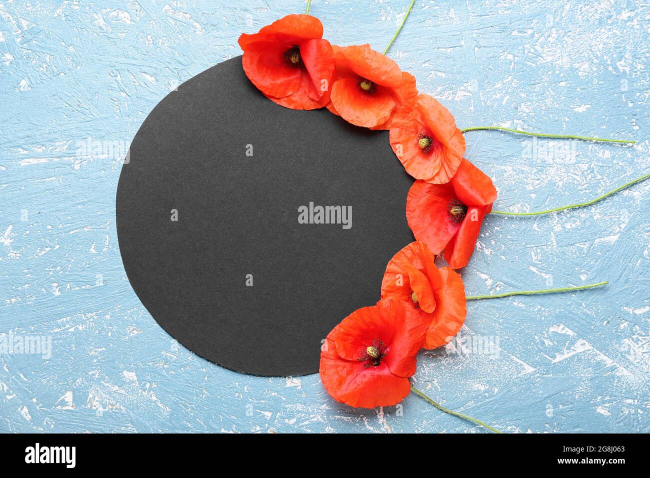 Blank card with beautiful red poppy flowers on color background Stock ...